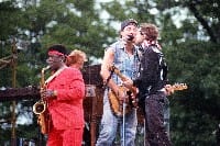 Alan Perry - Concert Photographs