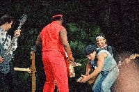Alan Perry - Concert Photographs