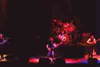 Alan Perry - Concert Photographs