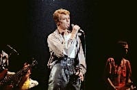 Alan Perry - Concert Photographs
