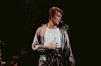 Alan Perry - Concert Photographs