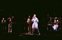 Alan Perry - Concert Photographs