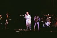 Alan Perry - Concert Photographs