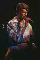 Alan Perry - Concert Photographs