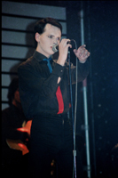 Alan Perry - Concert Photographs