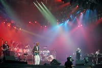 Alan Perry - Concert Photographs