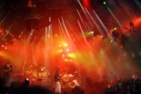 Alan Perry - Concert Photographs